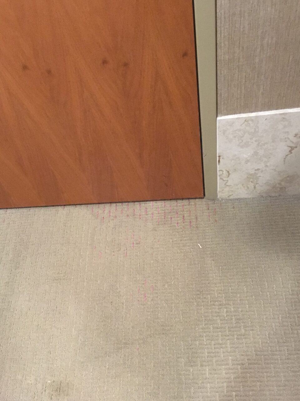 Carpet Fiber Color Shift: A Real-World Lesson in Floor Care Chemistry ...